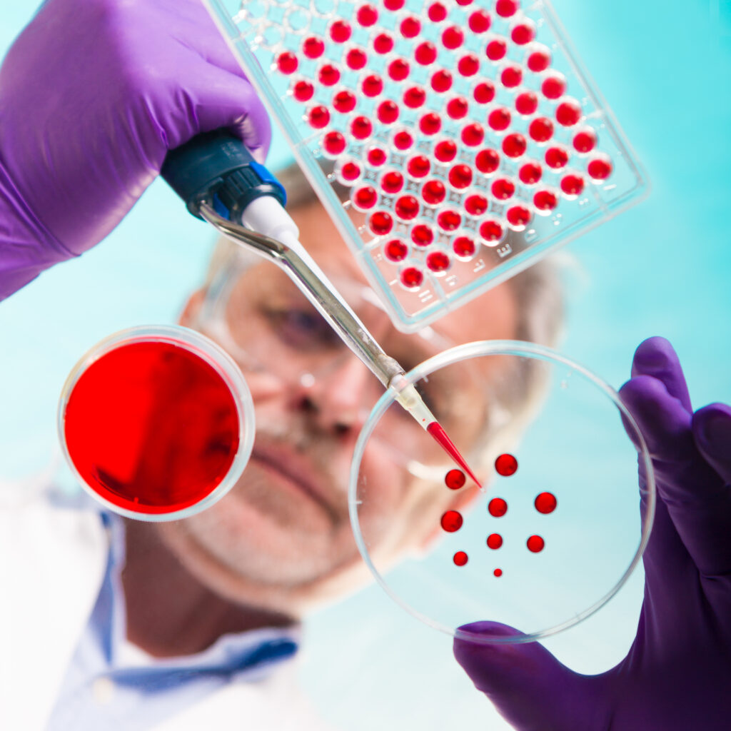 Research on the causes of haematological diseases - transCampus